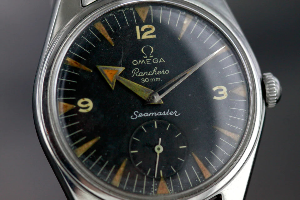 Celebrating Rarity and Resilience: The Enigmatic Odyssey of the Omega ...